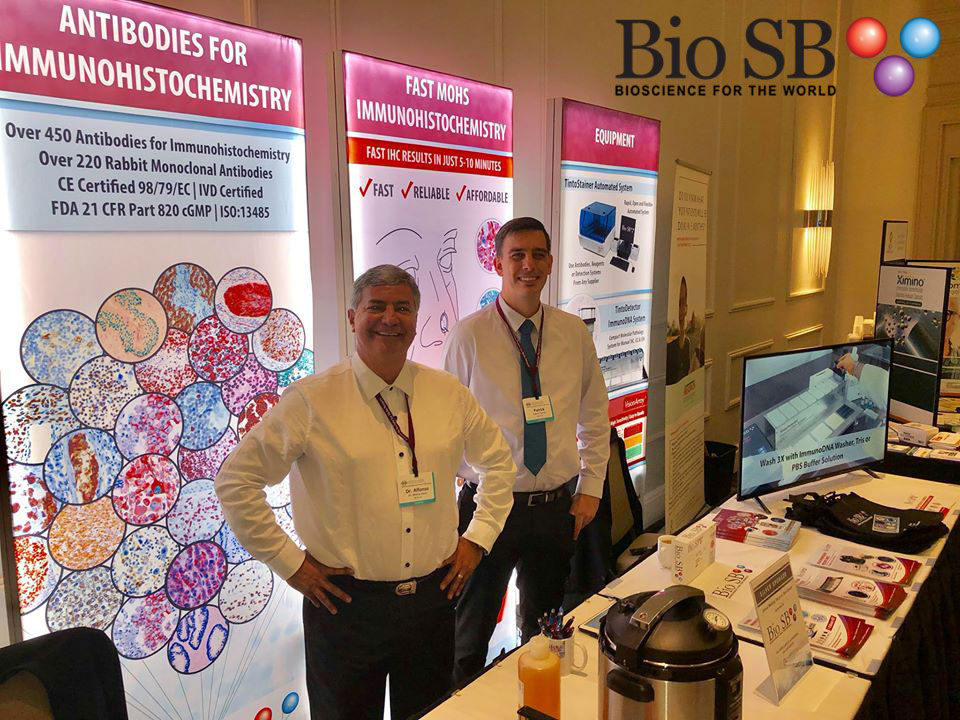 BIO SB, empresa de origen sonorense que aporta a la investigación ...